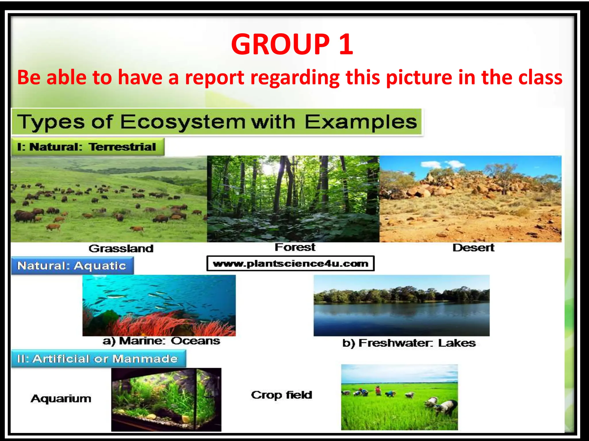 Rainforest,Coral Reef and Mangrove swamp.pptx