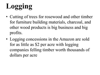 Rain forest depletion | PPT