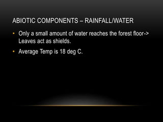 Rainforest ecosystem | PPT