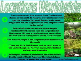 Rainforest eliza | PPTX