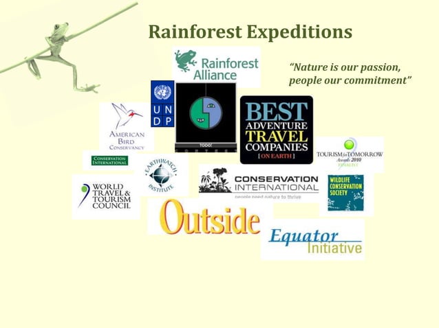 Rainforest Expeditions Powerpoint | PPTX