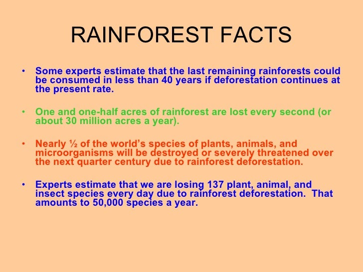 Rainforest Plants Facts