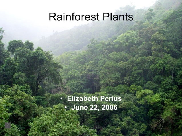 Rainforest Food[1] | PPT