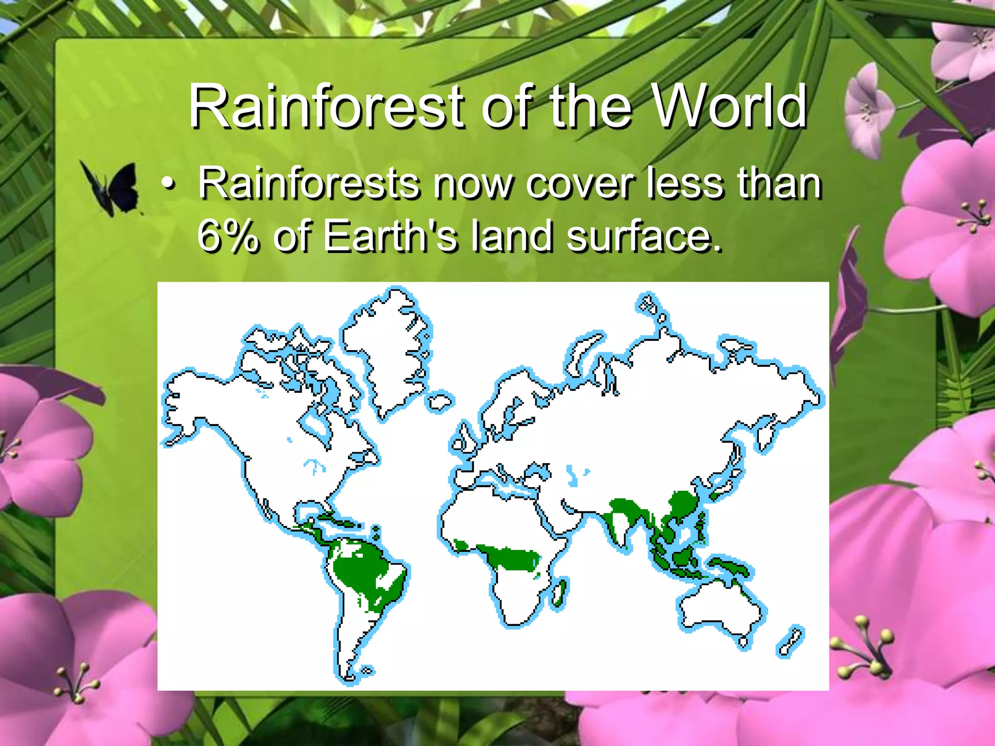 Rainforest habitat | PPT