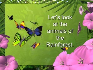 Rainforest habitat | PPT