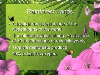 Rainforest habitat | PPT