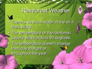 Rainforest habitat | PPT