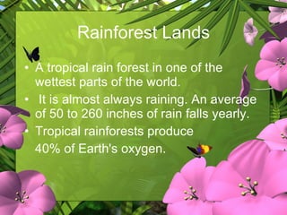 Rainforest habitat | PPT
