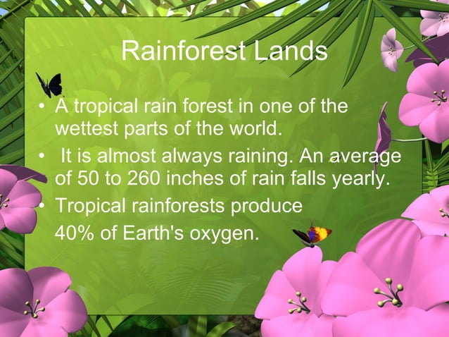 Rainforest habitat | PPT | Zoos & Aquariums | Attractions