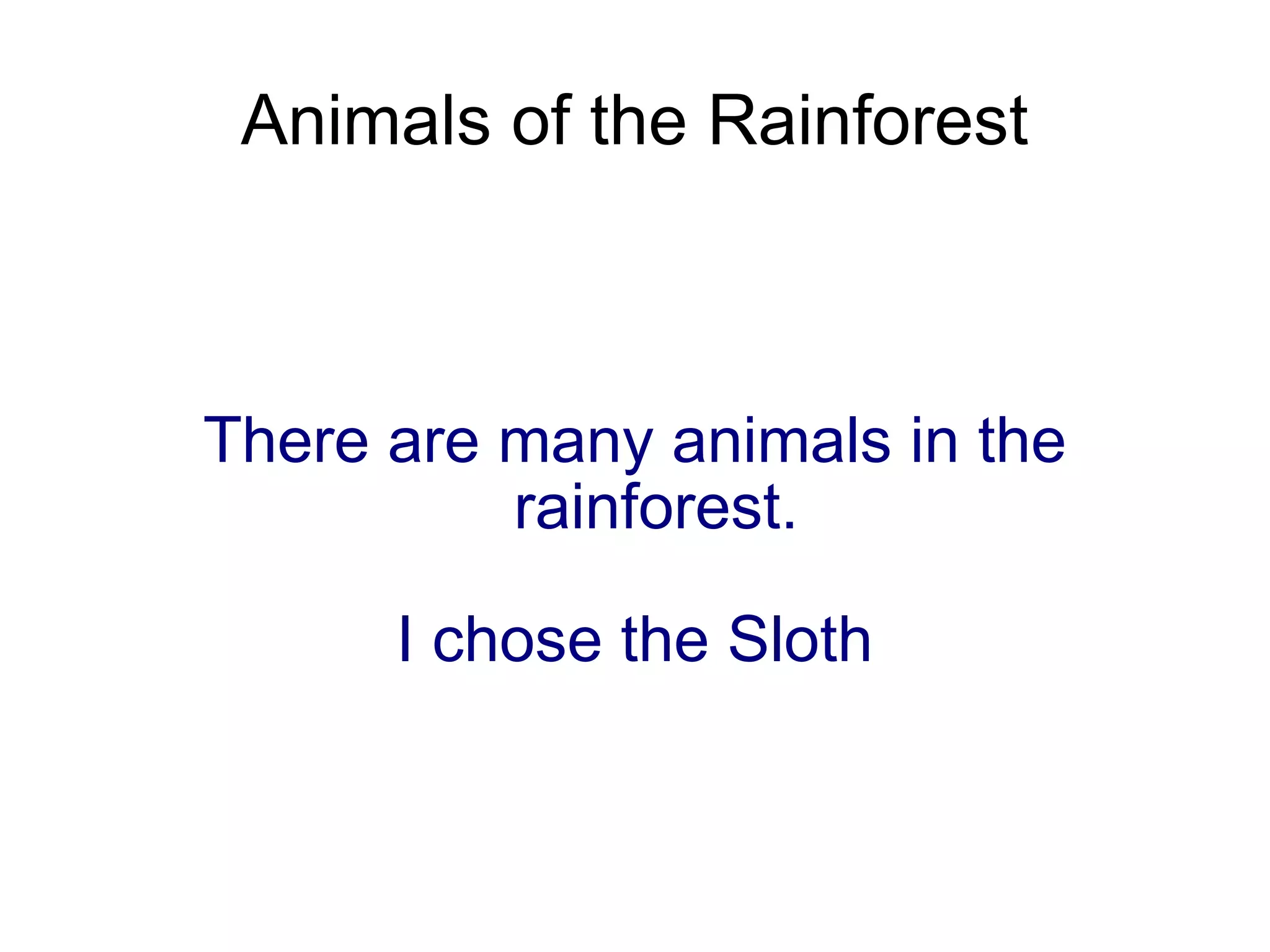 Rainforest homework sloth | PPT