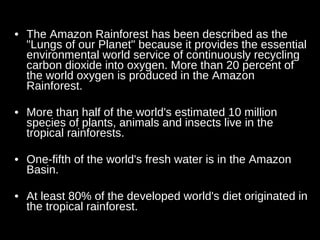 Rainforest Importance | PPT