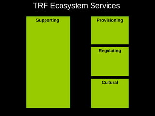 Rainforest Importance | PPT