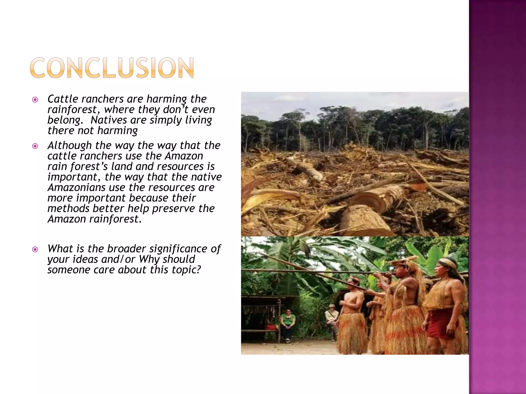 Rain forest power point | PPTX