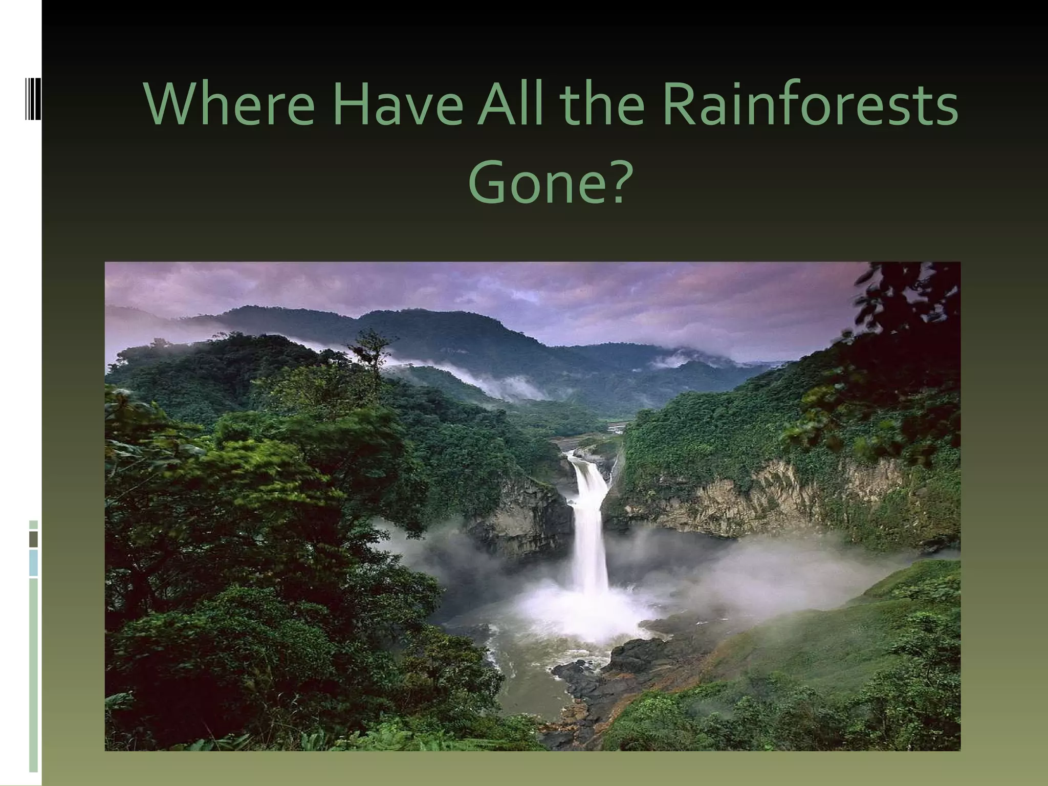 Rainforest powerpoint[1] | PPT