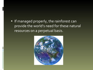 Rainforest powerpoint[1] | PPT