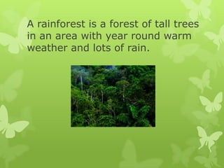 Rainforest power point for 7th grade students. | PPTX
