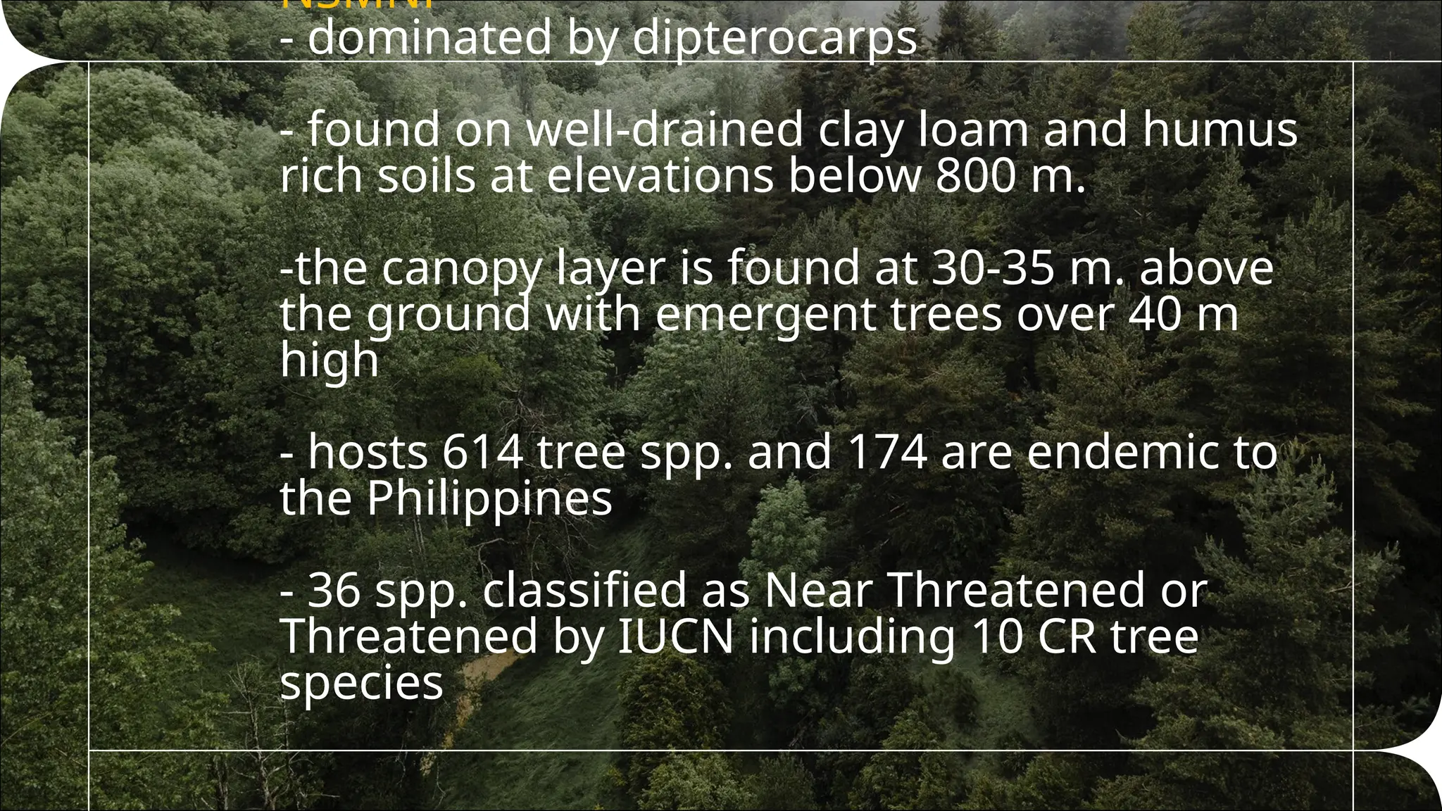 Terrestrial Ecosystem in the Philippines:rainforest ppt.pptx