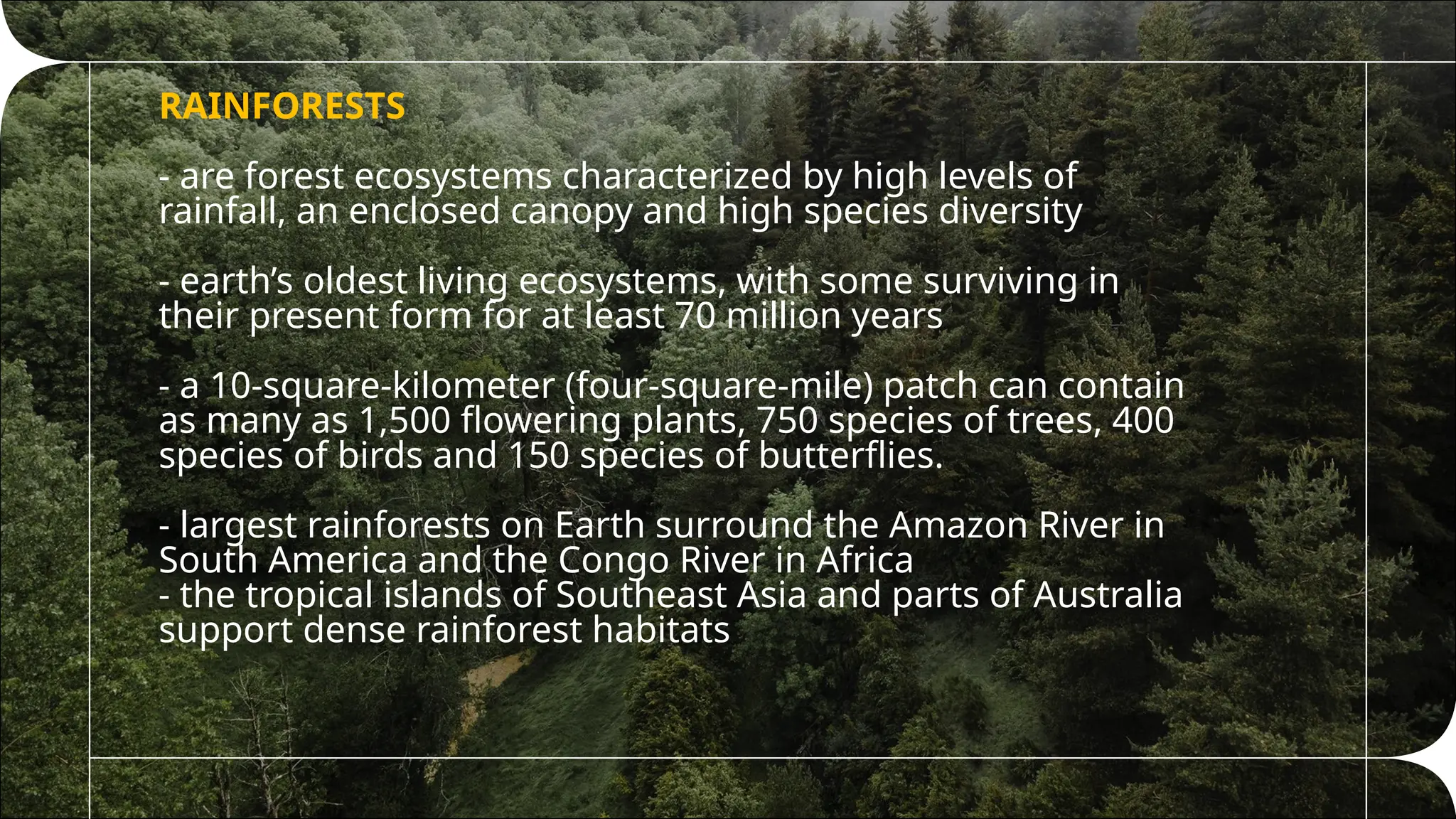 Terrestrial Ecosystem in the Philippines:rainforest ppt.pptx