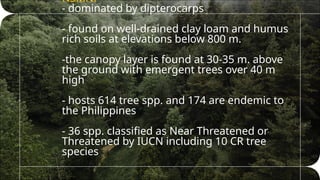 Terrestrial Ecosystem in the Philippines:rainforest ppt.pptx | Zoos ...