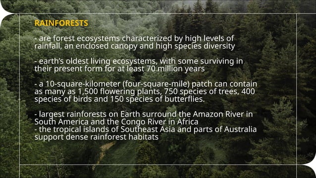 Terrestrial Ecosystem in the Philippines:rainforest ppt.pptx | Zoos & Aquariums | Attractions
