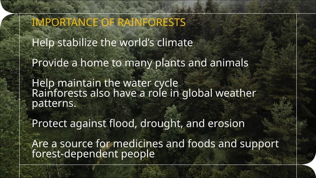 Terrestrial Ecosystem in the Philippines:rainforest ppt.pptx | Zoos & Aquariums | Attractions