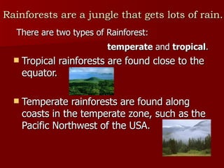 Rain forest presentation | PPT