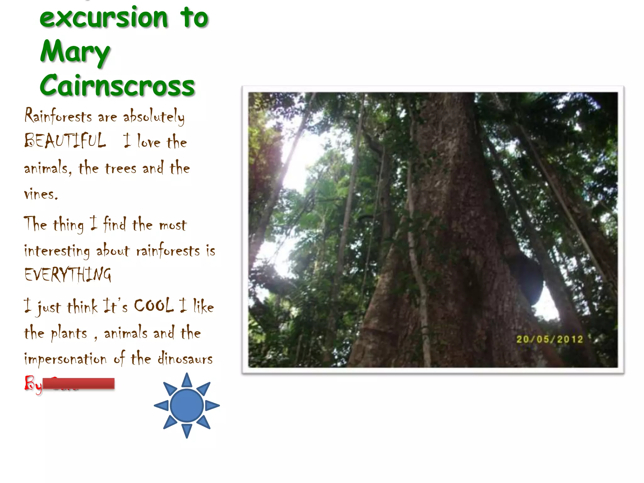 Rainforest presentation | PPTX