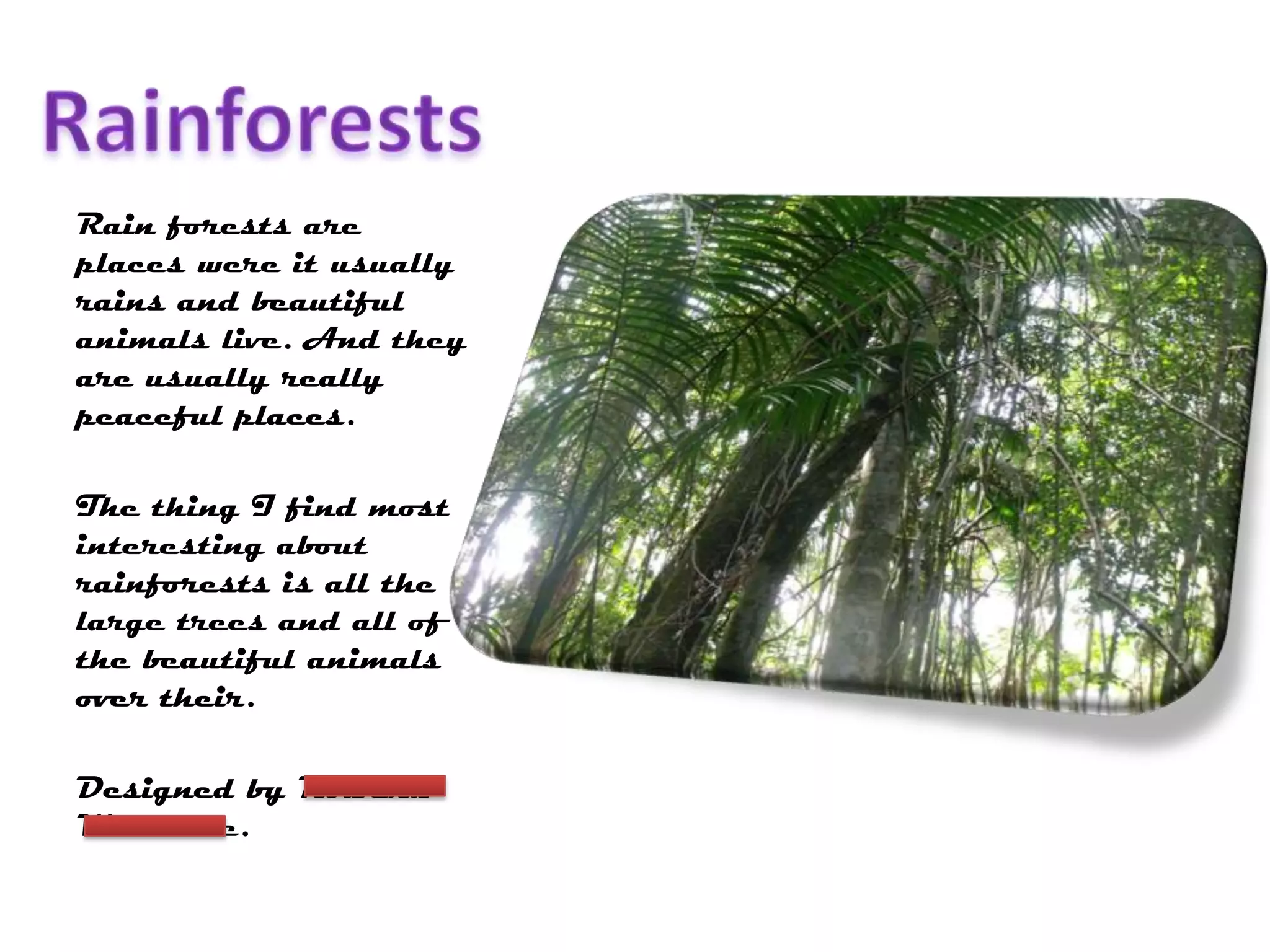 Rainforest presentation | PPT
