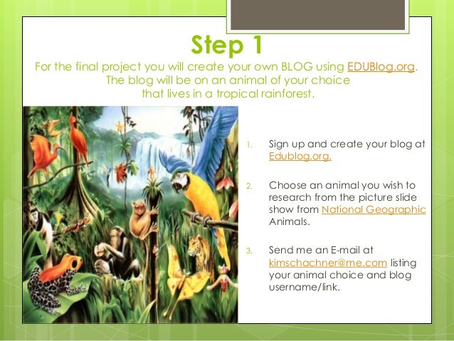 Rainforest project powerpt