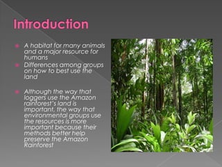 Rainforest research project powerpoint guidelines & model | PPT