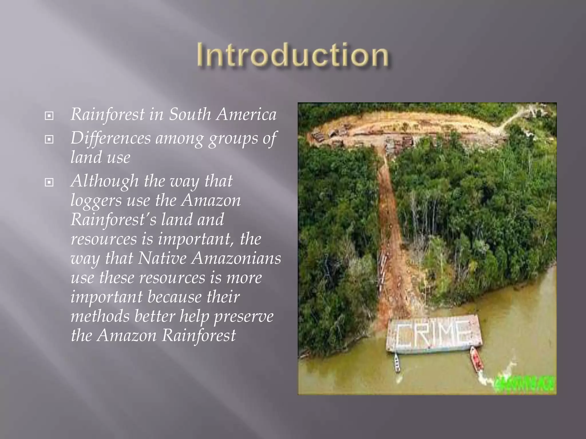 Rainforest research project powerpoint guidelines & model | PPTX