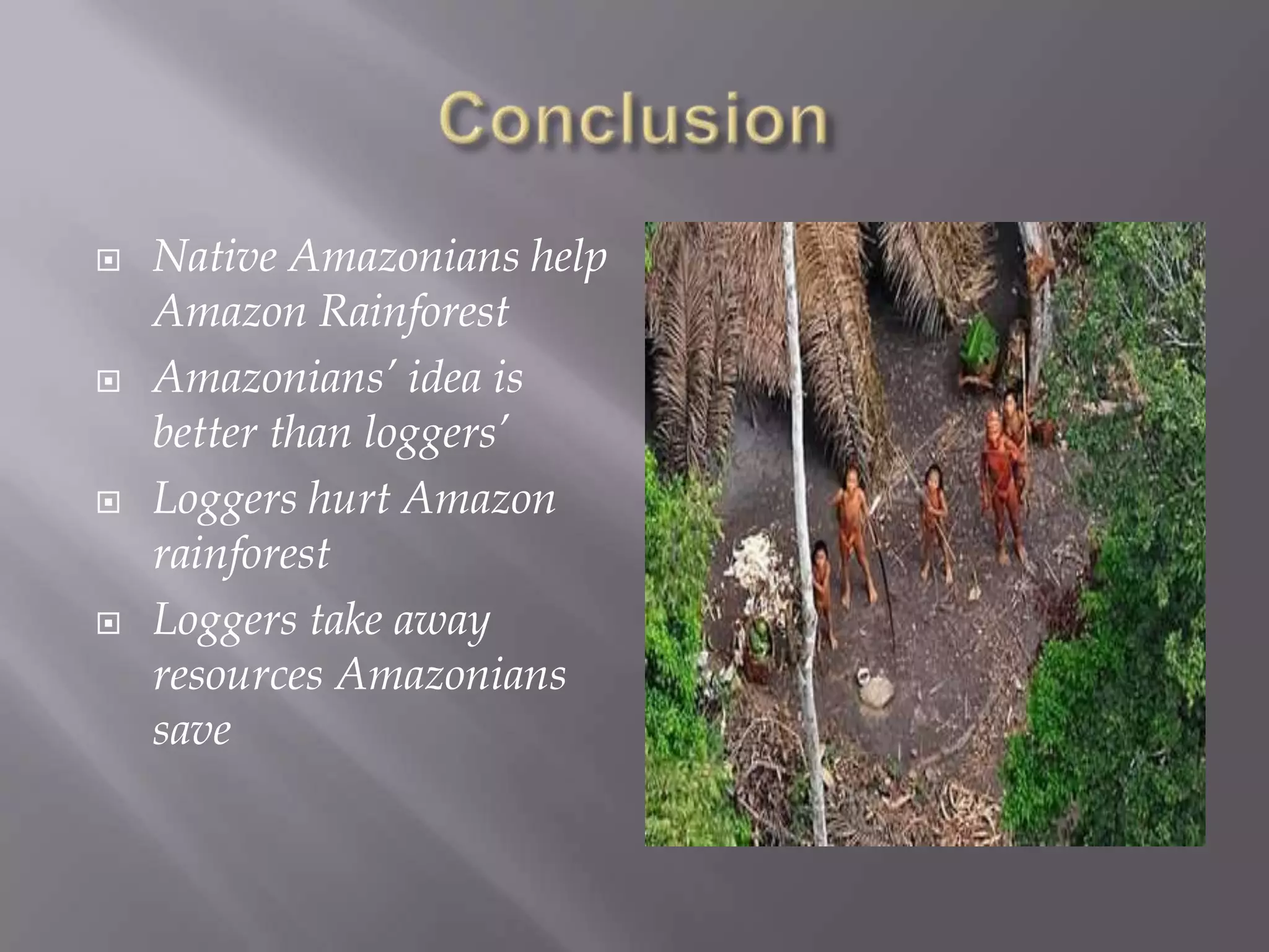 Rainforest research project powerpoint guidelines & model | PPTX