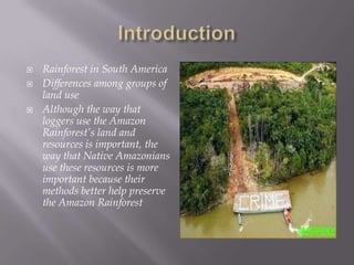 Rainforest research project powerpoint guidelines & model | PPTX