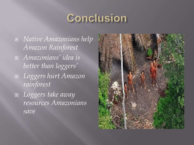 Rainforest research project powerpoint guidelines & model | PPTX