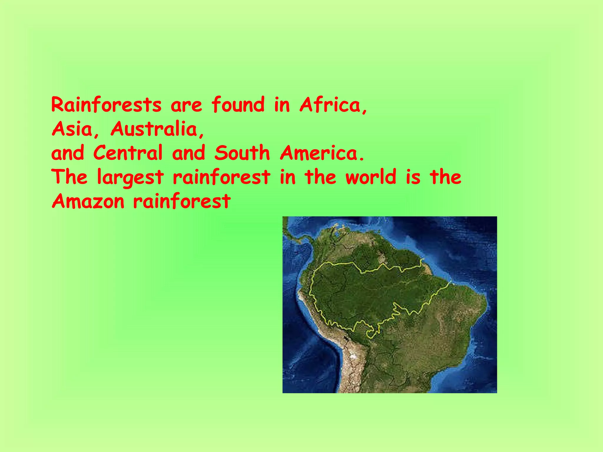 Rainforests | PPT | Geography | Science