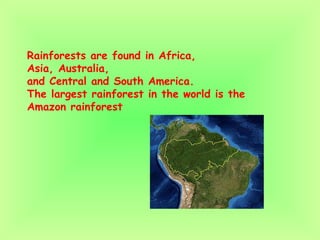 Rainforests | PPT | Geography | Science