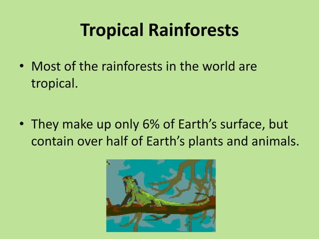Rainforests | PPTX | Geography | Science