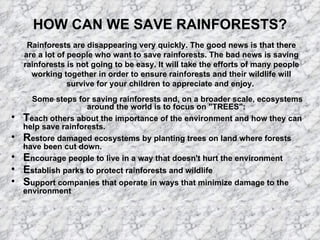 Rainforests | PPT