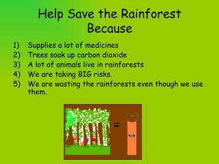 Rainforests | PPT