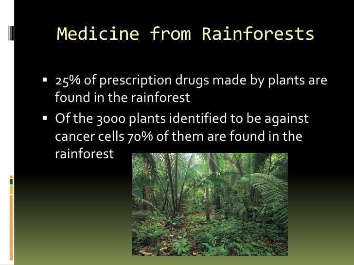 Rain forests