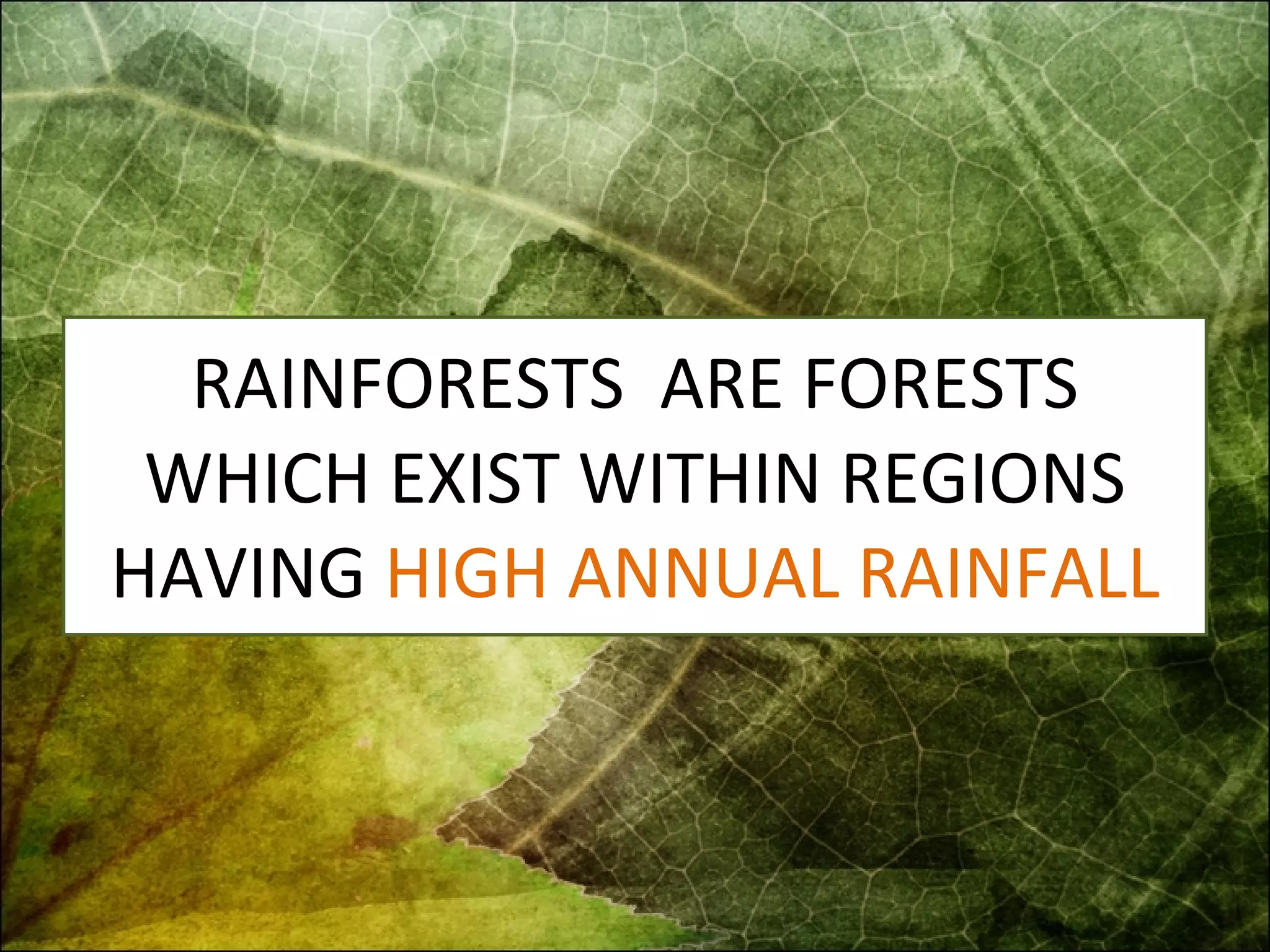 Geography - Rainforests | PPT | Geography | Science
