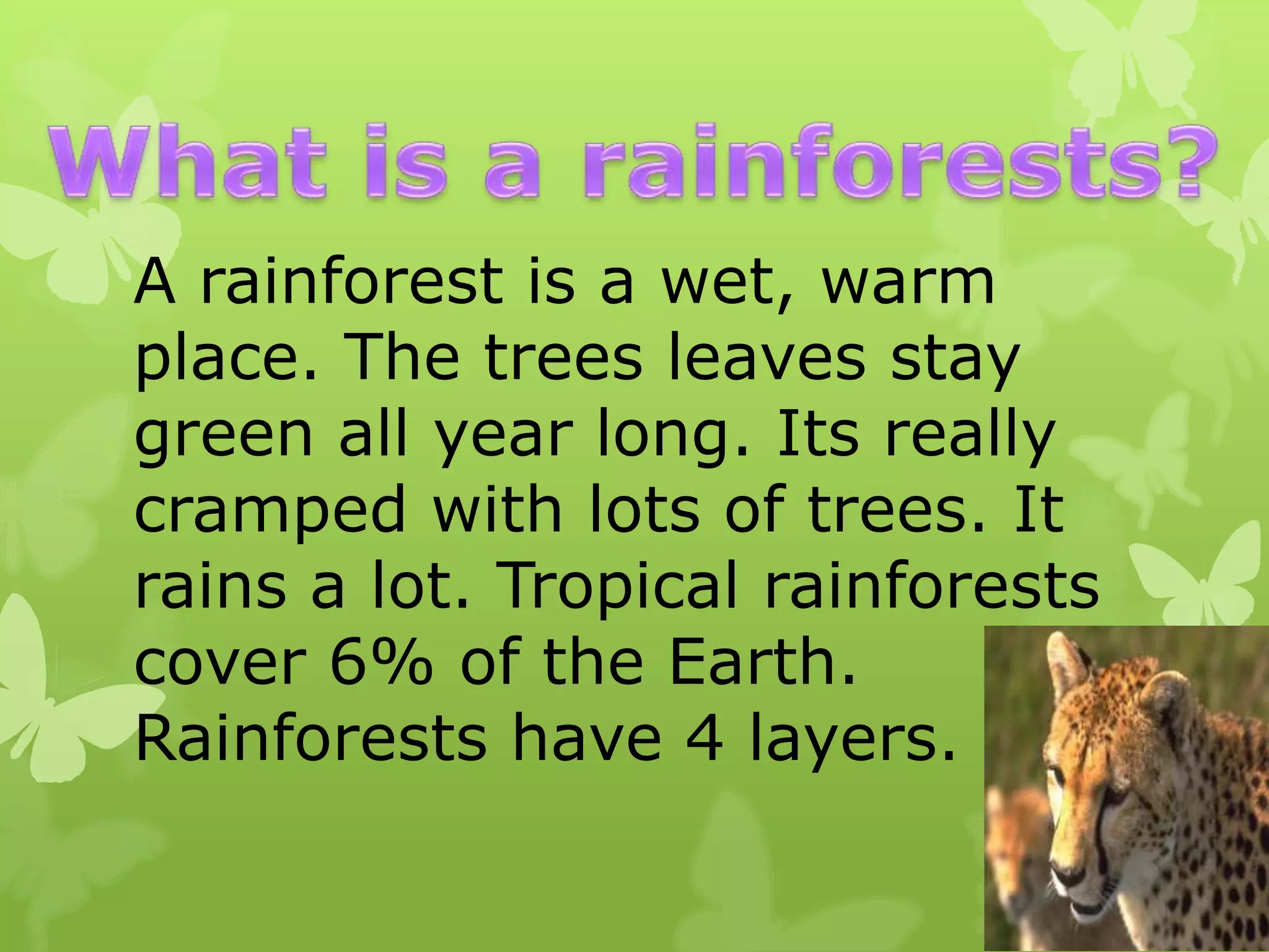 Rainforests | PPT