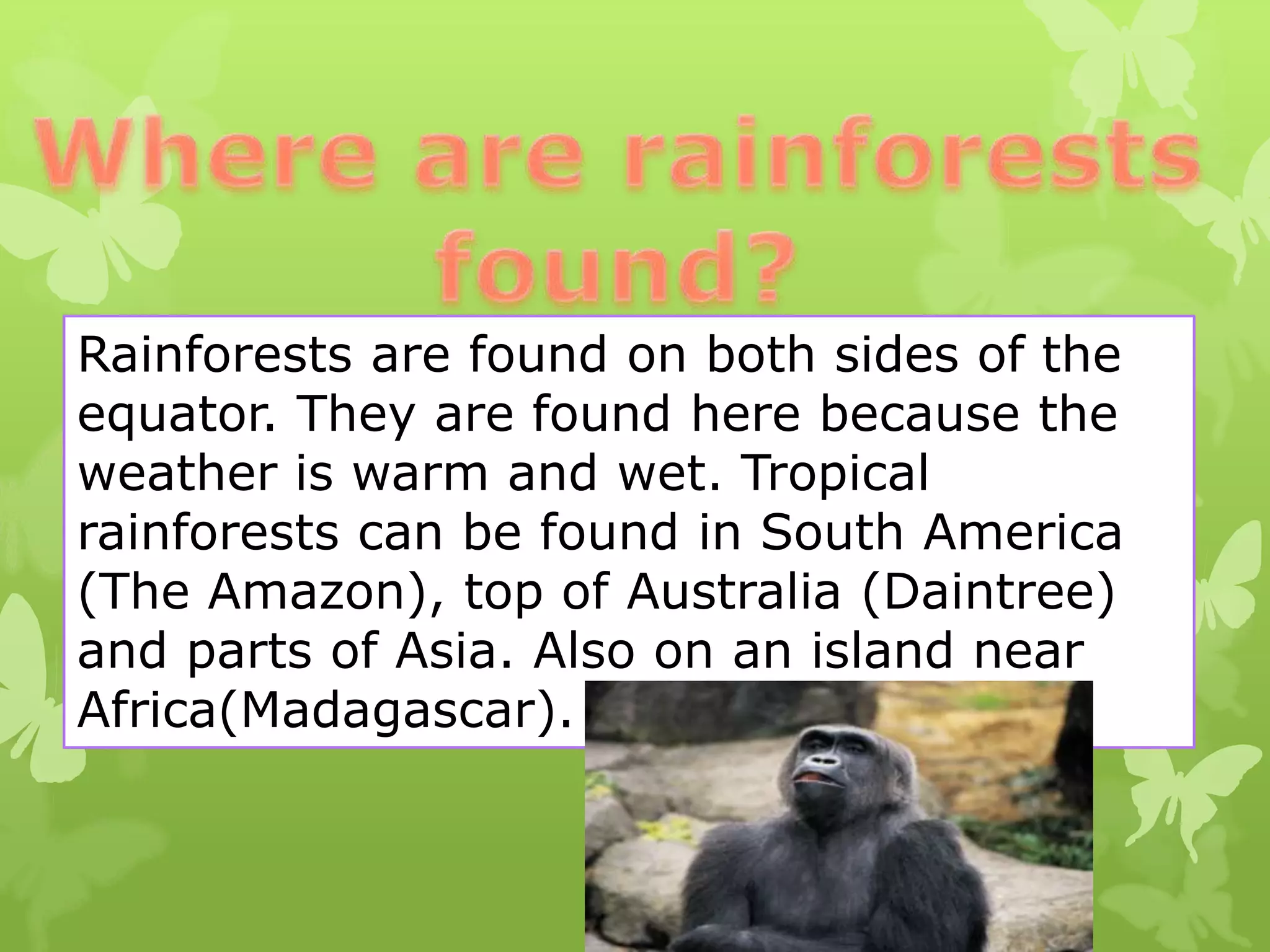 Rainforests | PPT