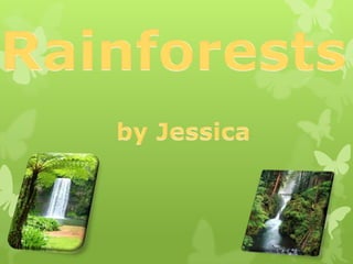 Rainforests | PPT