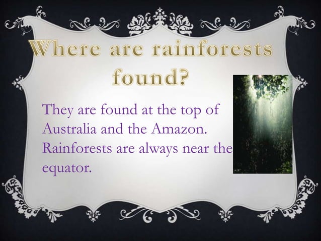 Rainforests | PPT