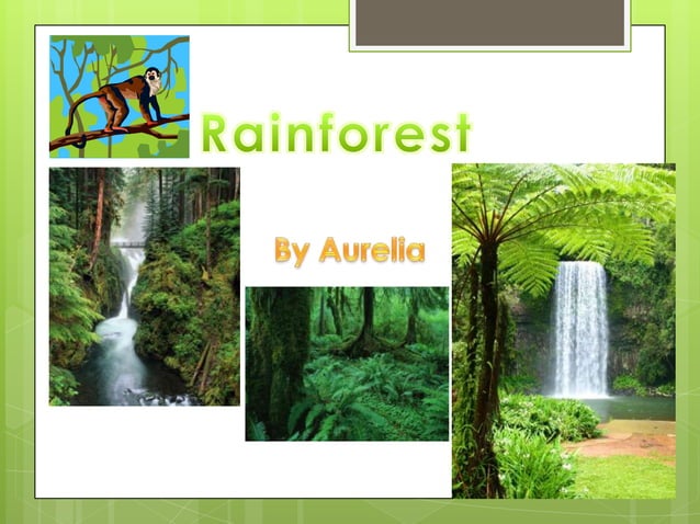 Rainforests | PPTX