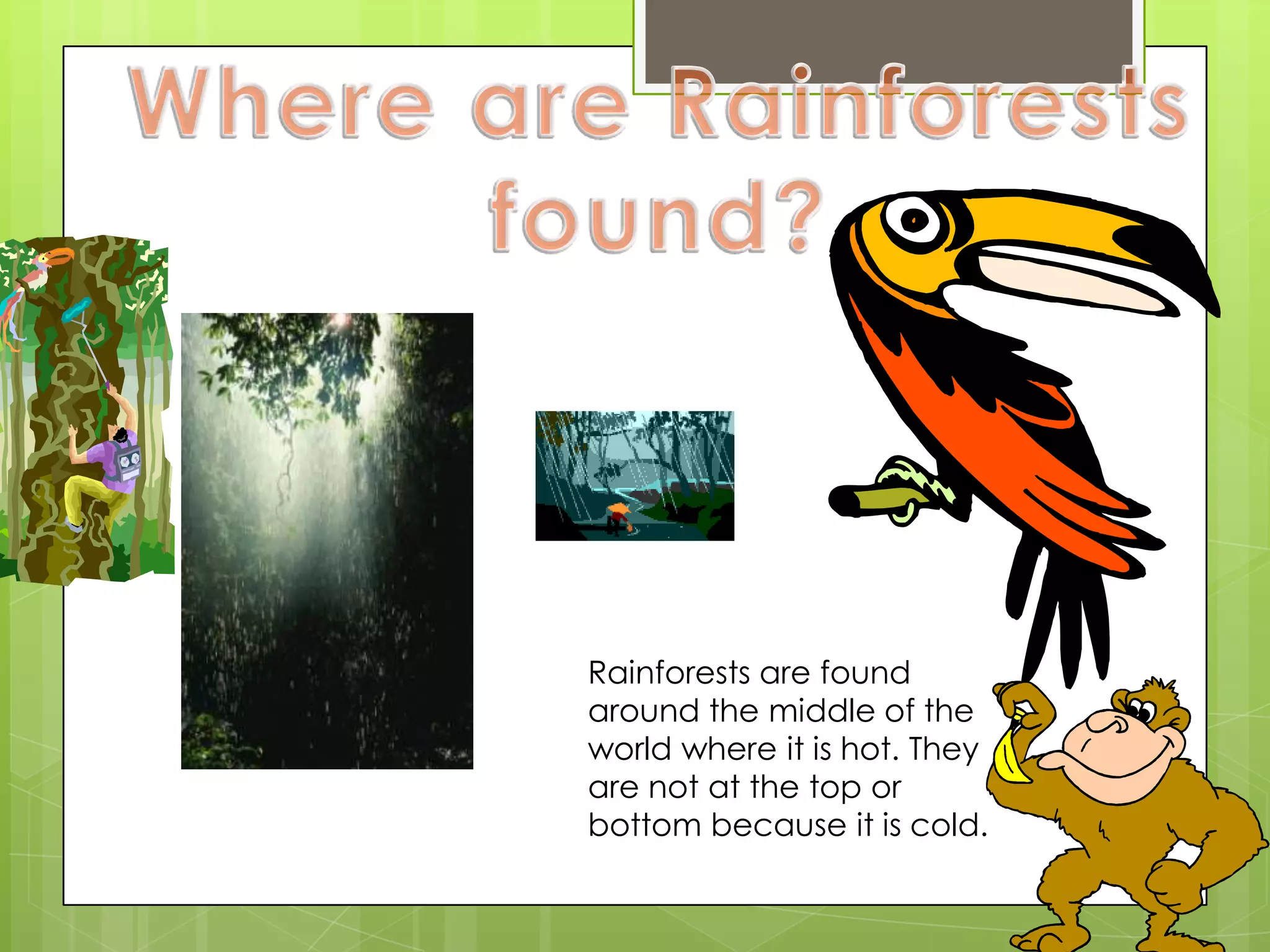 Rainforests | PPT