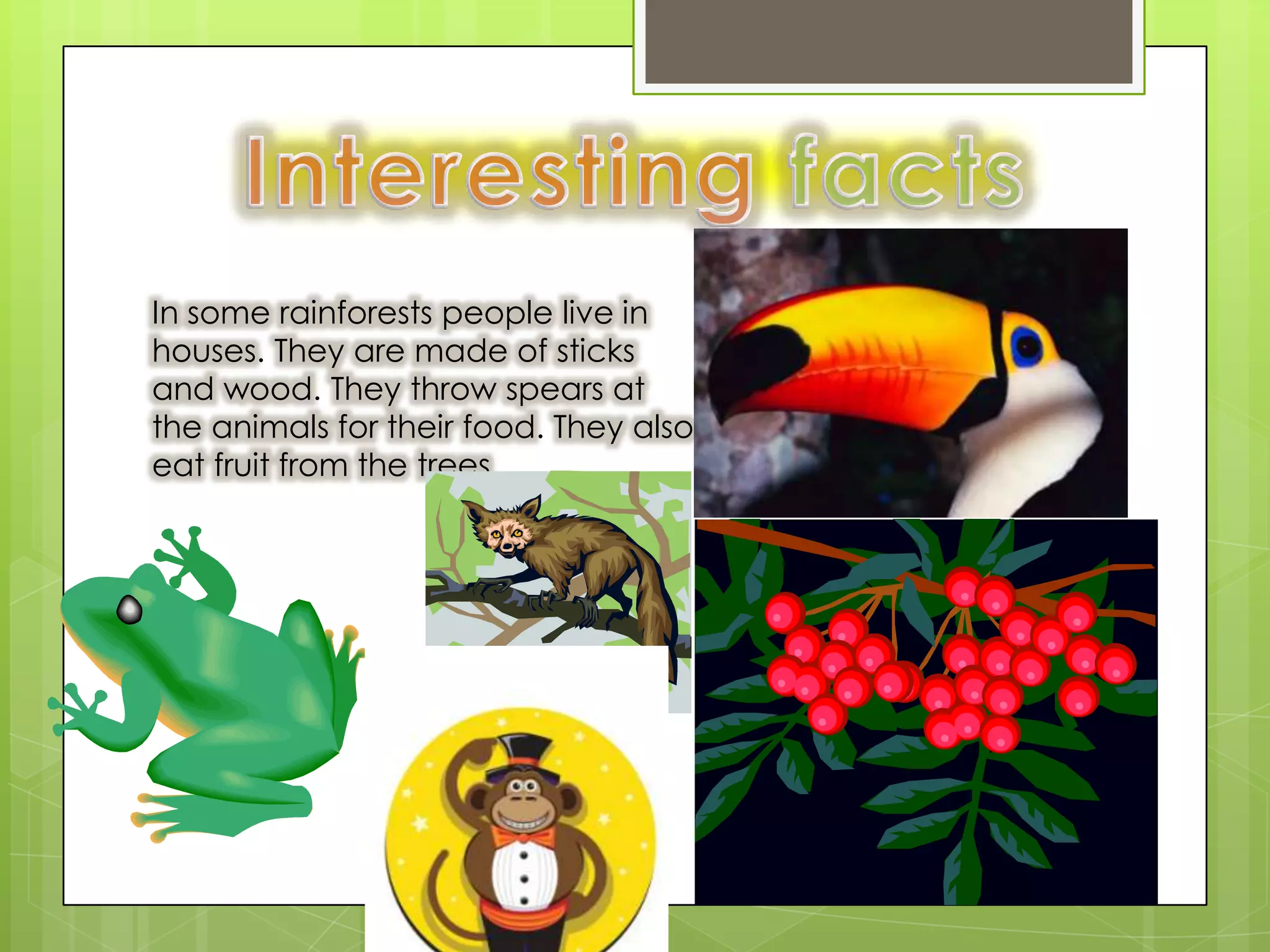 Rainforests | PPT