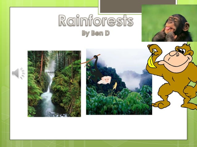 Rainforests | PPT