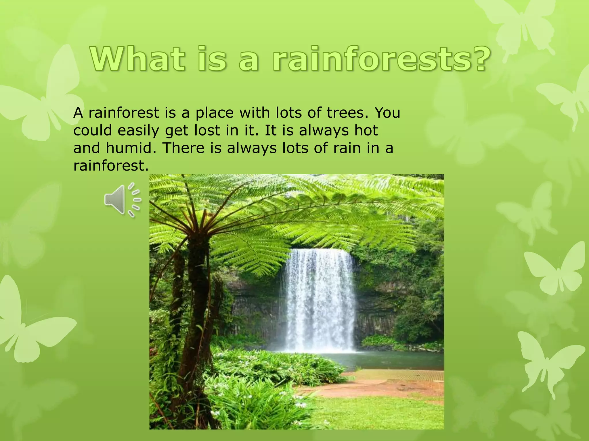 Rainforests | PPT